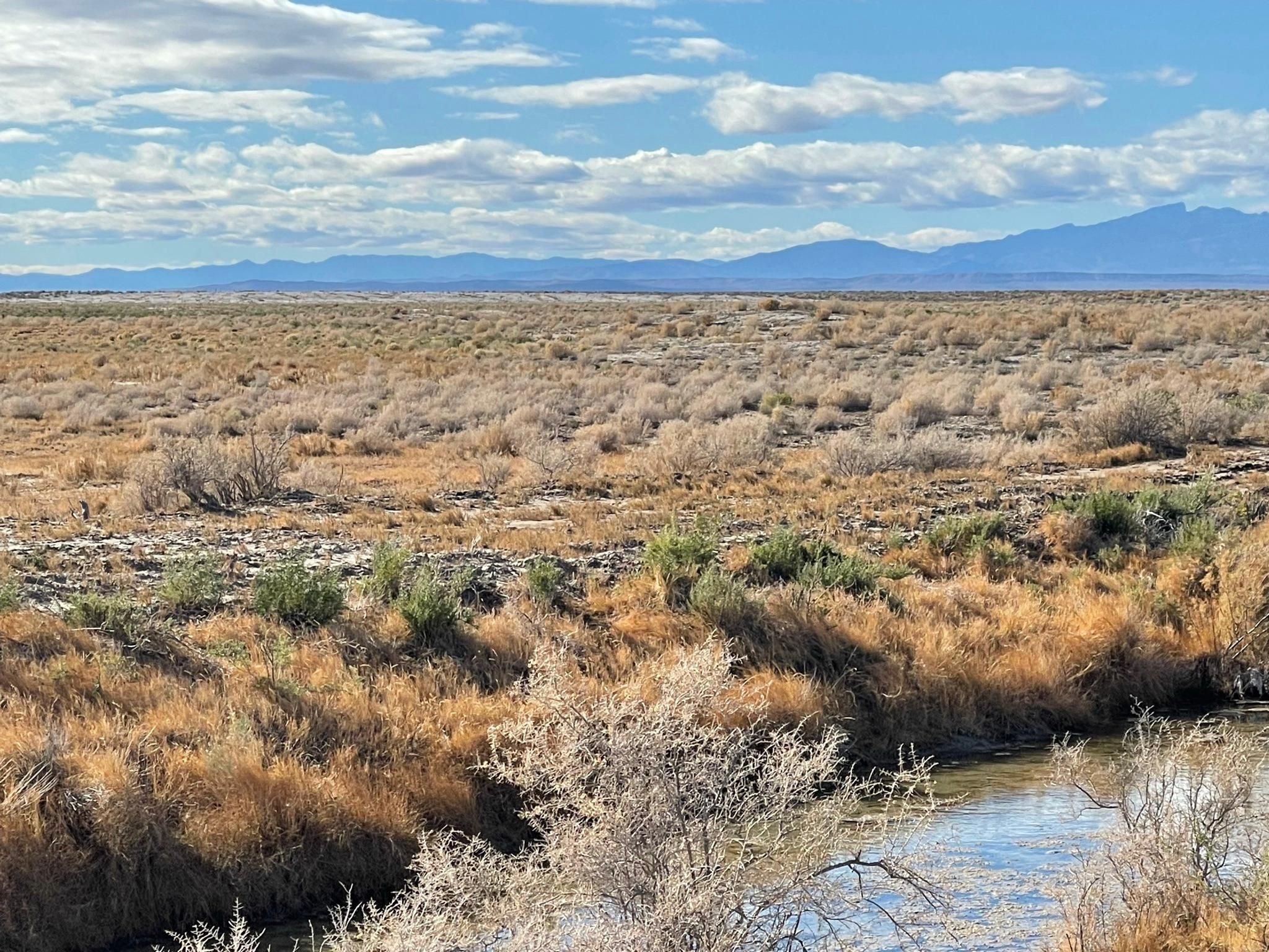 799.09 acres in Delta, UT, 84624 | MLS: 1845017 | Land and Farm