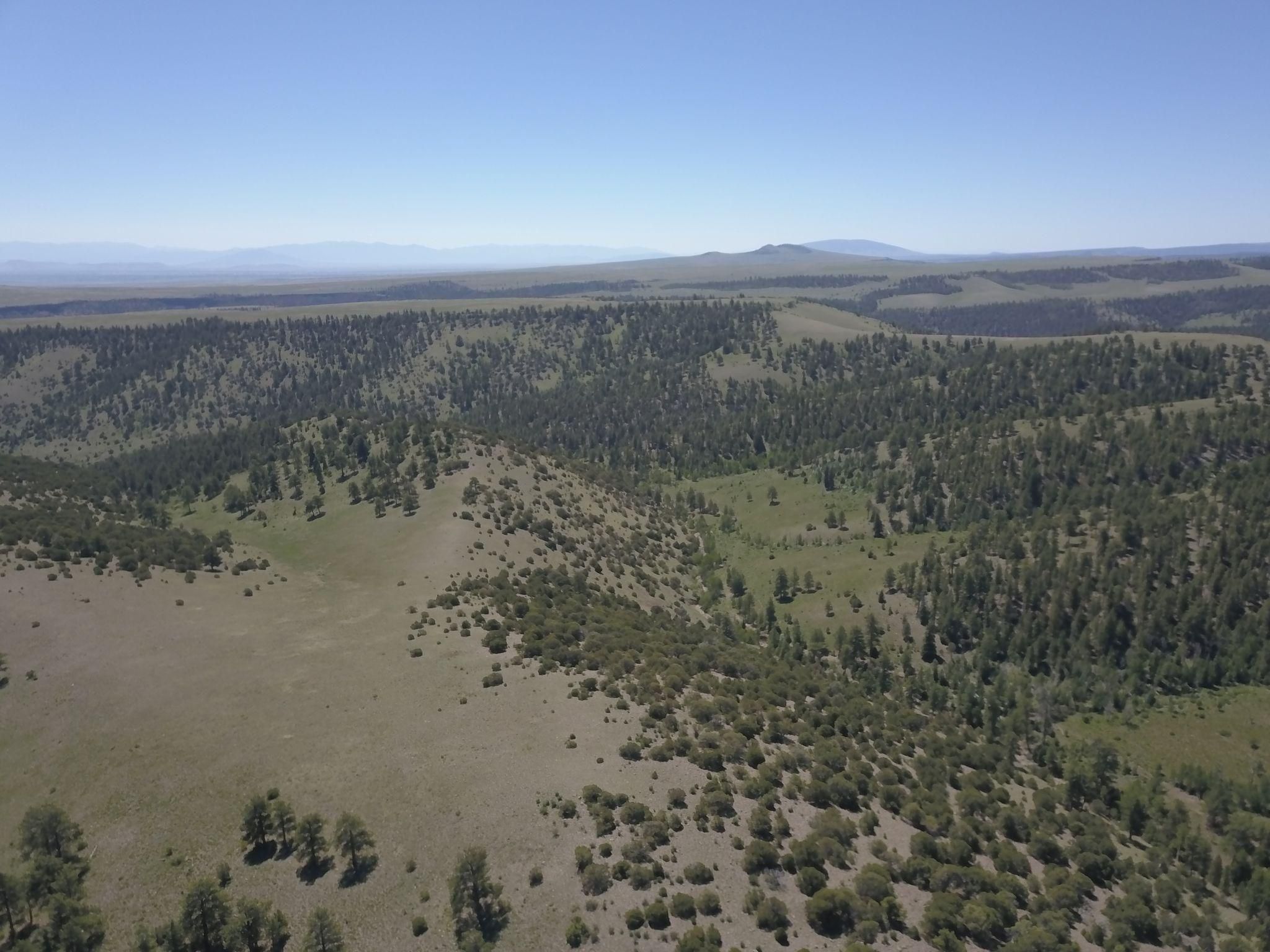 40 acres in Antonito, CO, 81120 | MLS: 6198712 | Land and Farm