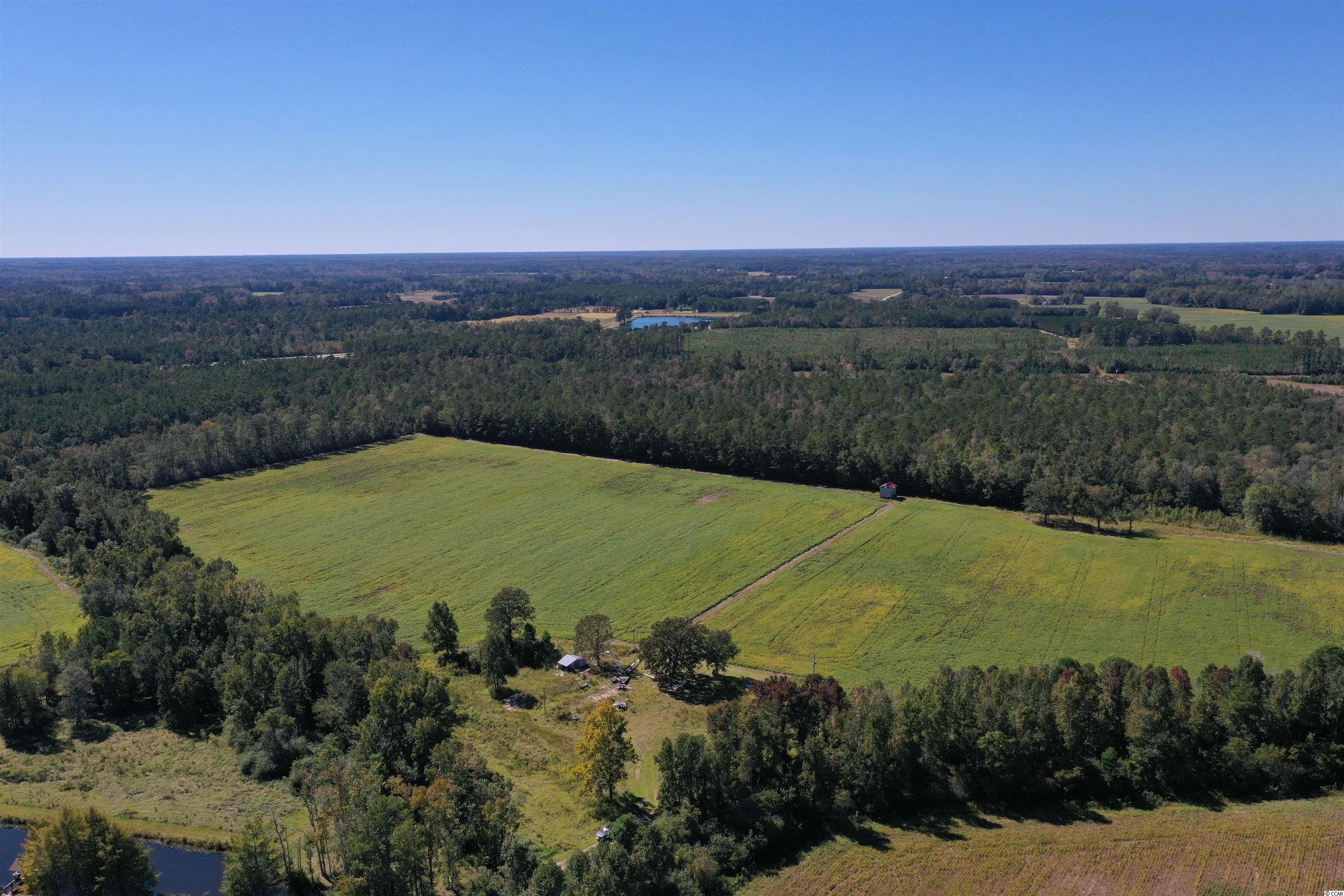 1273 Shoebuckle Rd., Loris, SC 29569 | MLS: 2222189 | Land and Farm