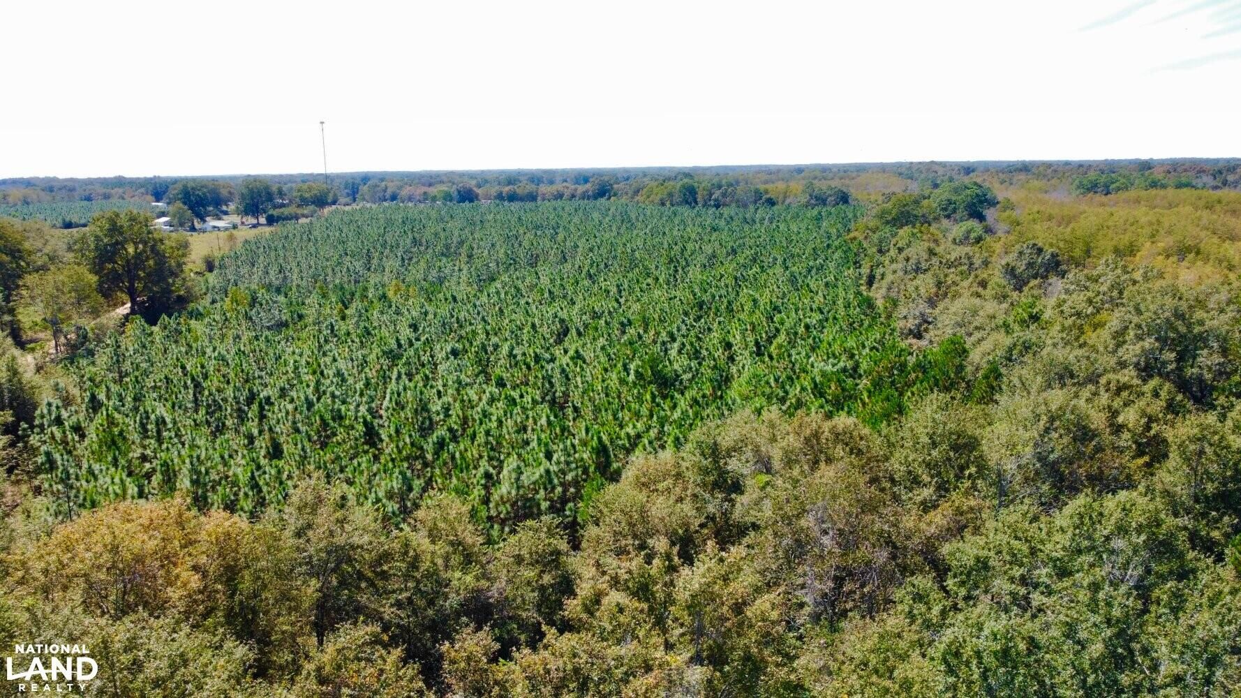 0 S Main Street, Malvern, AL 36349 | Land and Farm