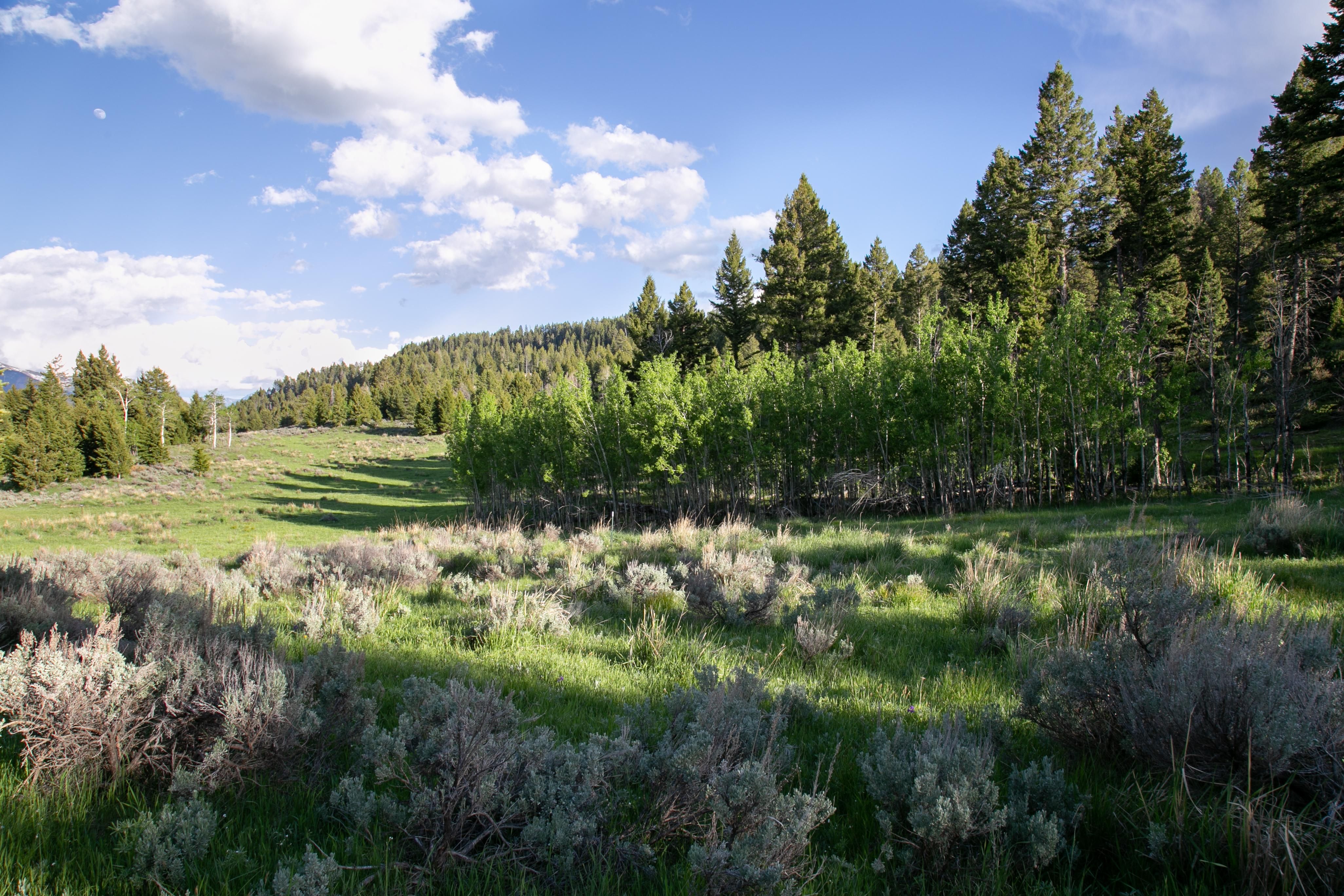 Lot 29 -Sun West Ranch, Cameron, MT 59720 | MLS: 387417 | Land and Farm
