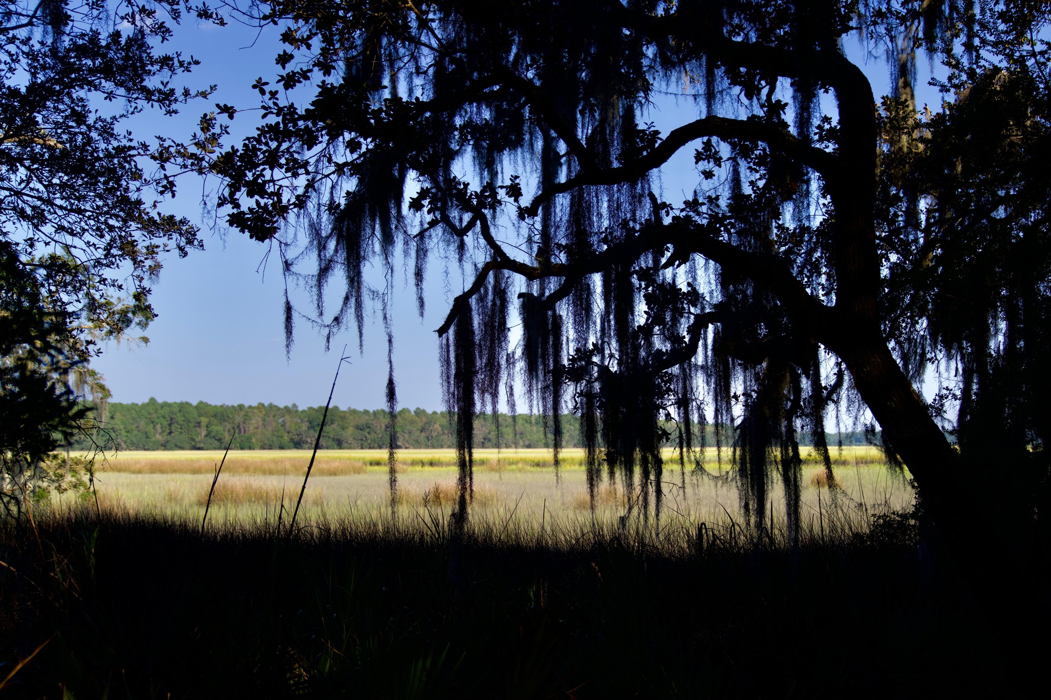 Mackay Point Road, Yemassee, SC 29945 | Land and Farm