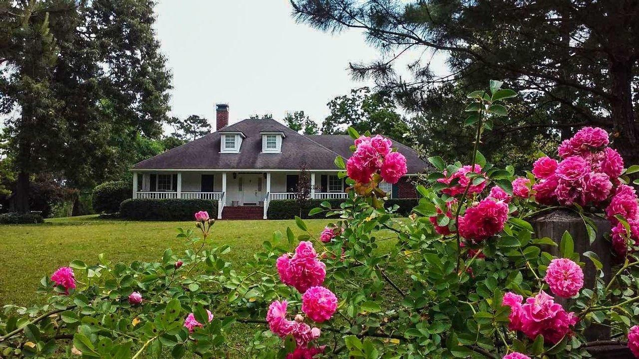 3457 FM 138, Garrison, TX 75946 | Land and Farm