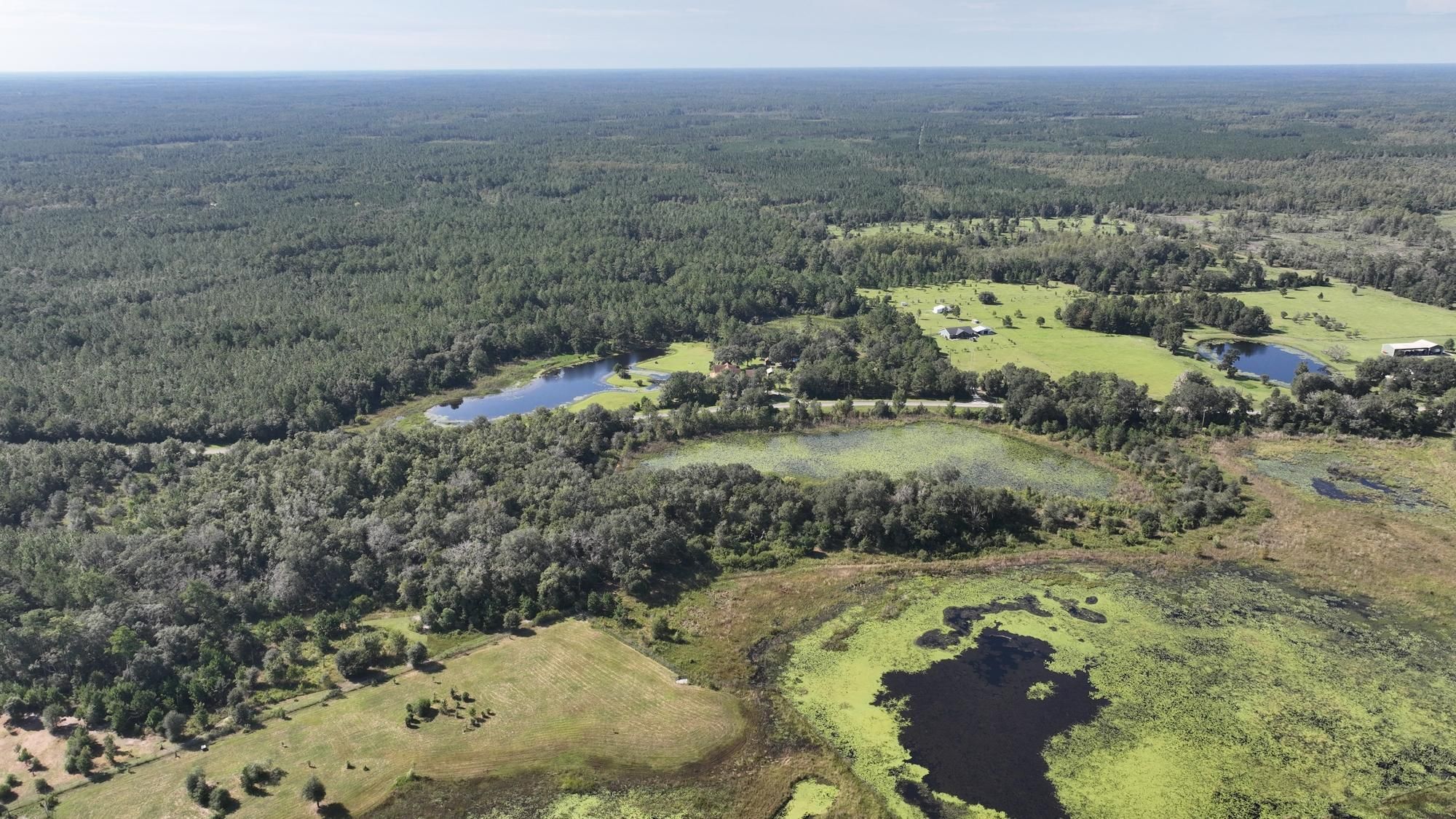 SE CR-340, Mayo, FL 32066 | Land and Farm