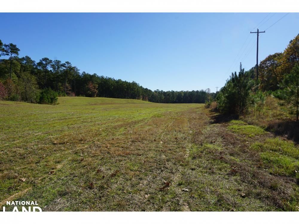 0 Boothtown Road, Buhl, AL 35446 | Land and Farm
