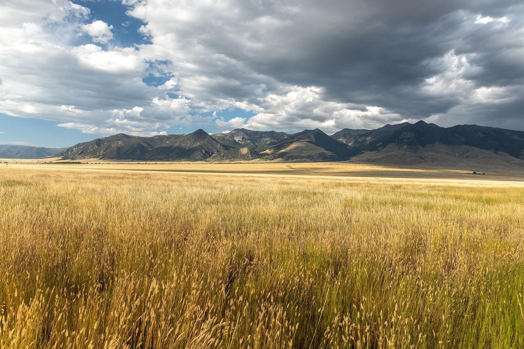 Cameron Drive, Cameron, MT 59720 | Land and Farm