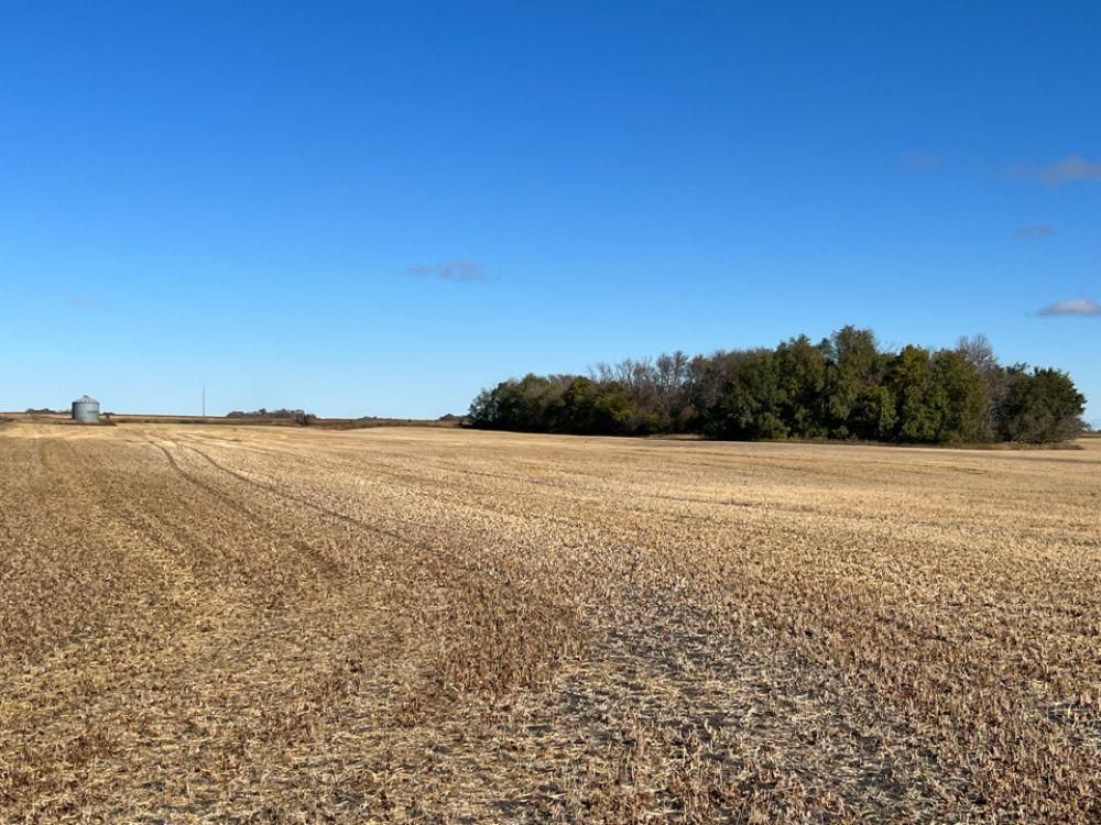 120 acres in Shelly, MN, 56581 | Land and Farm