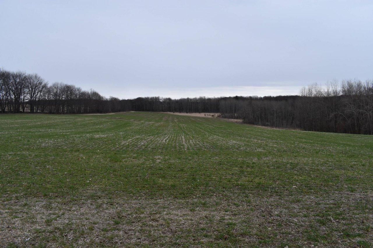 Fortner Road, Wellsville, NY 14895 | Land and Farm