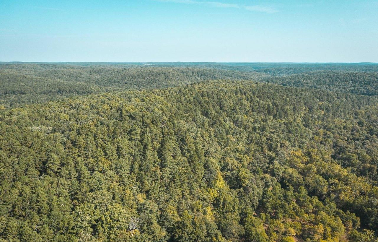 60 Acres, TBD Paddy Chapel Road- Tract 4, Roby, MO 65557 | Land and Farm