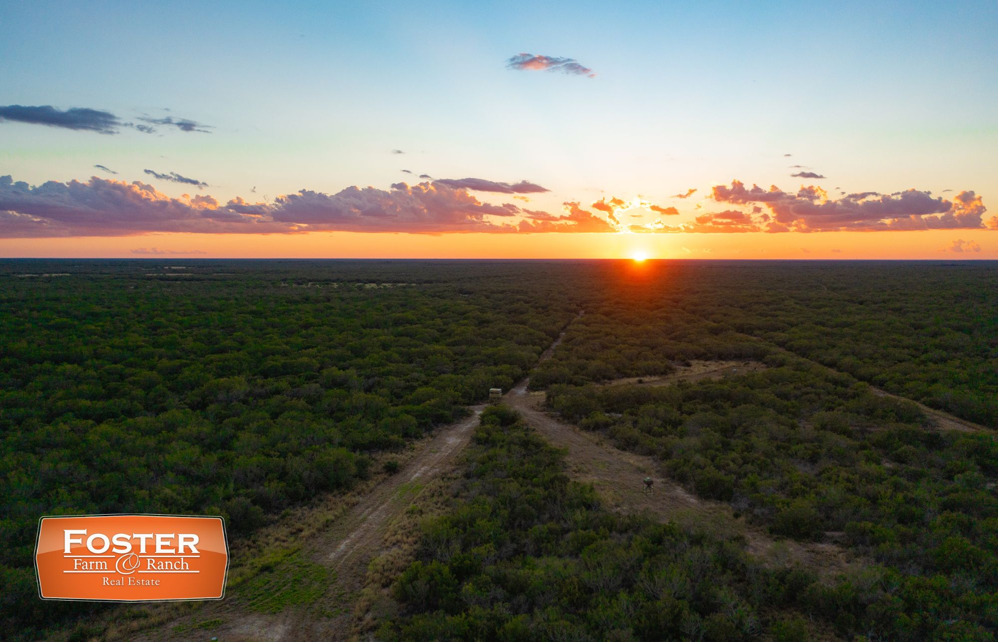 108.73 Acres, Benavides, TX 78341 | Land and Farm