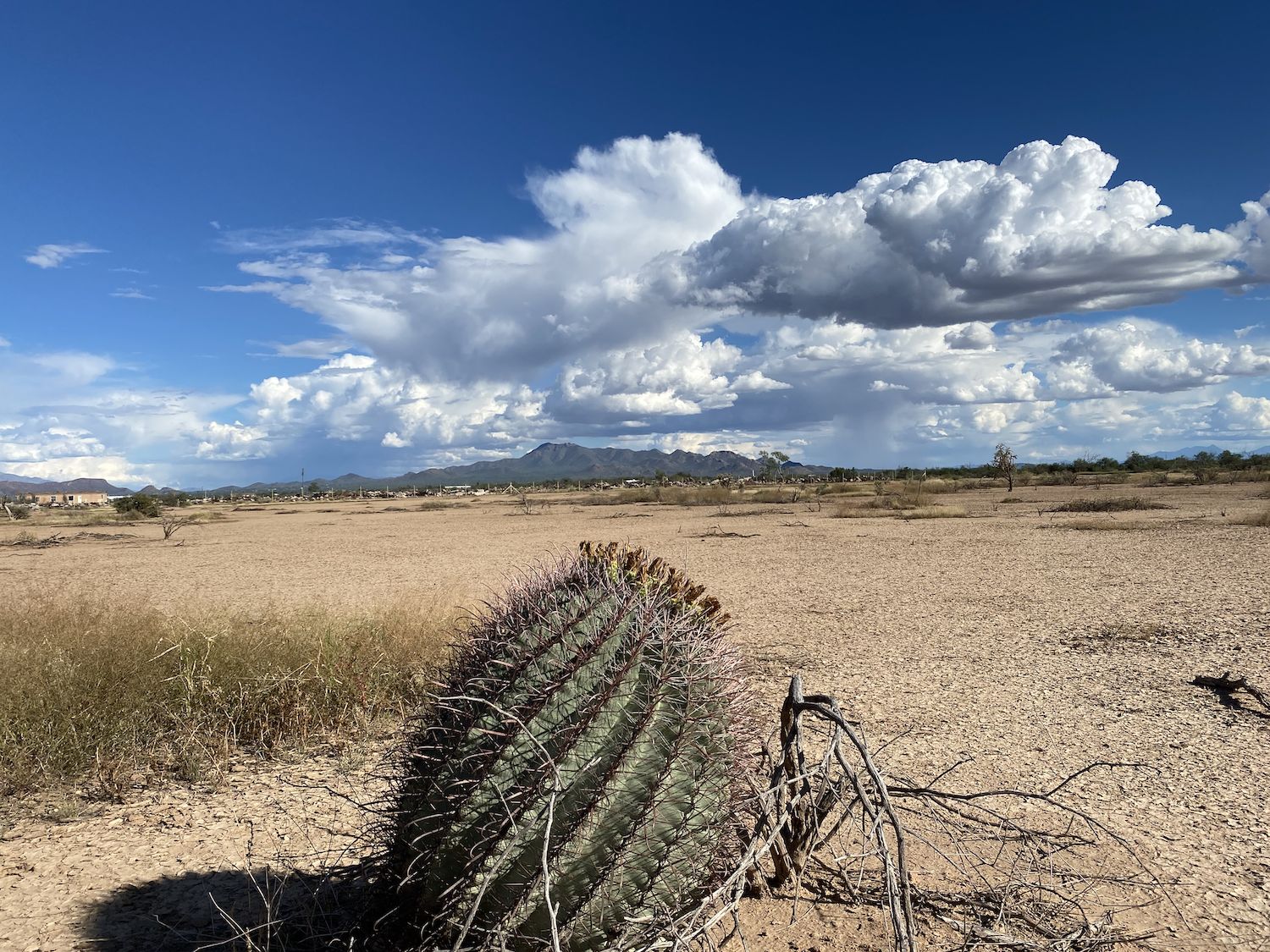 10 Acres, Picture Rocks, AZ 85653 | Land and Farm