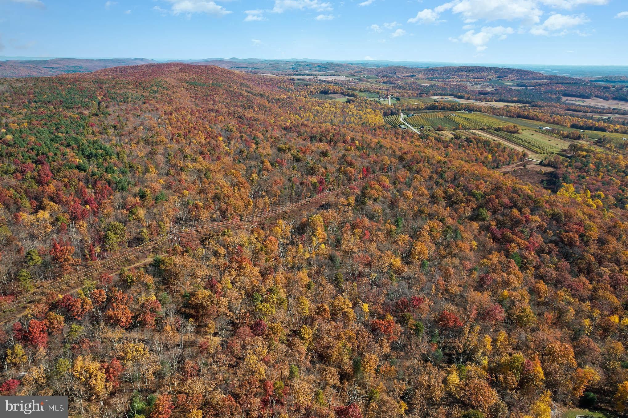 17 Acres, PINEY MOUNTAIN RIDGE ROAD, Biglerville, PA 17307 | Land and Farm