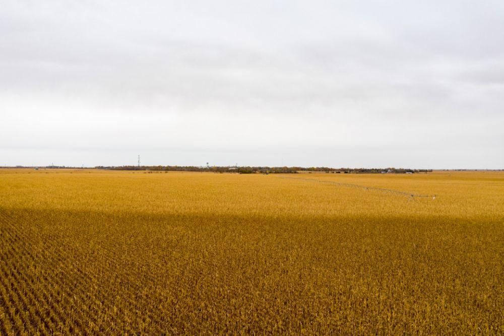 242.94 acres in Edgar, NE, 68935 | Land and Farm