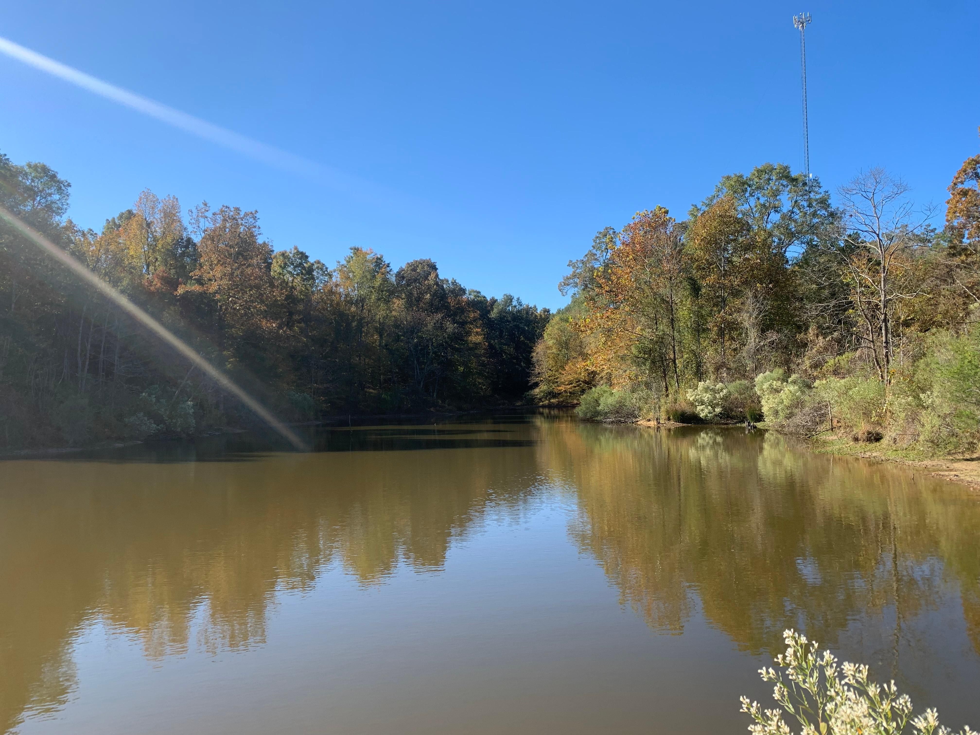 Betigheimer Road, Edwards, MS 39066 | MLS: Hinds 70 | Land and Farm