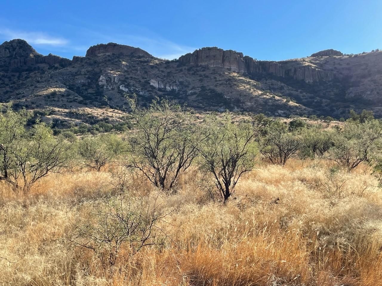TBD Calle De La Buena Vida, Tubac, AZ 85648 | MLS: 22202331 | Land and Farm