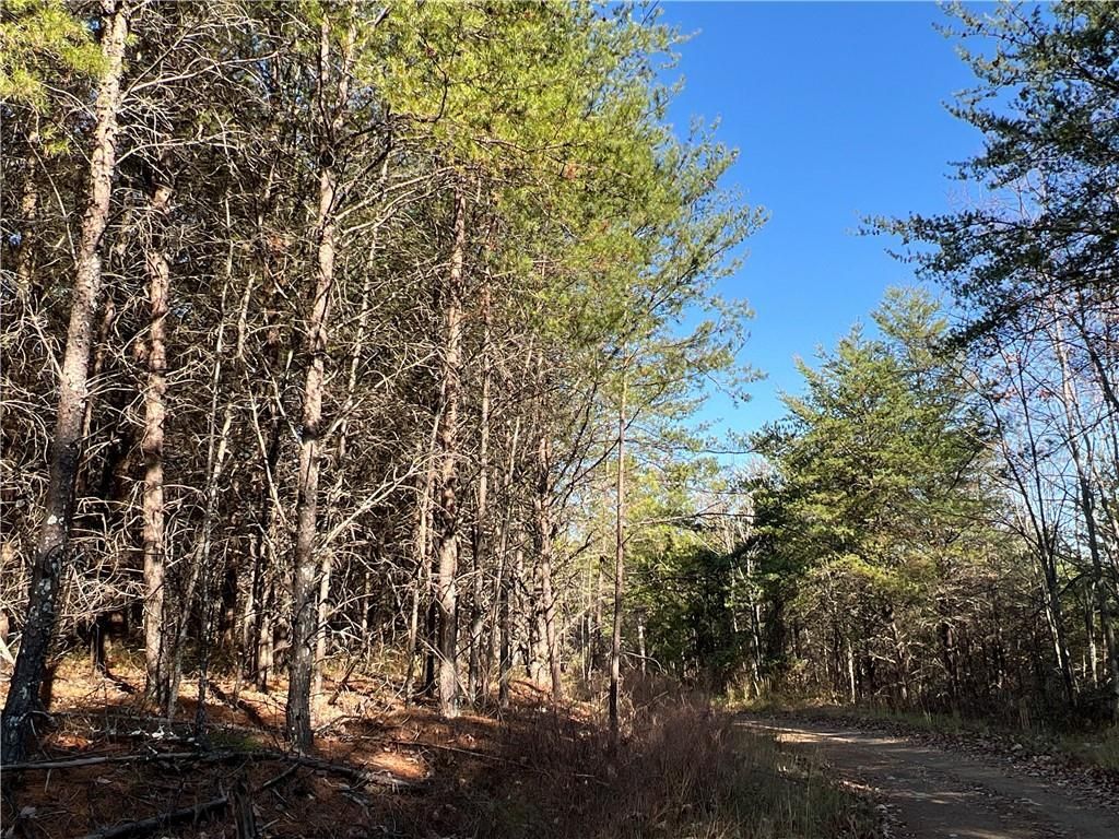 40.78 Acres, 0 Johnson Mountain Road, Rydal, GA 30171 | Land and Farm