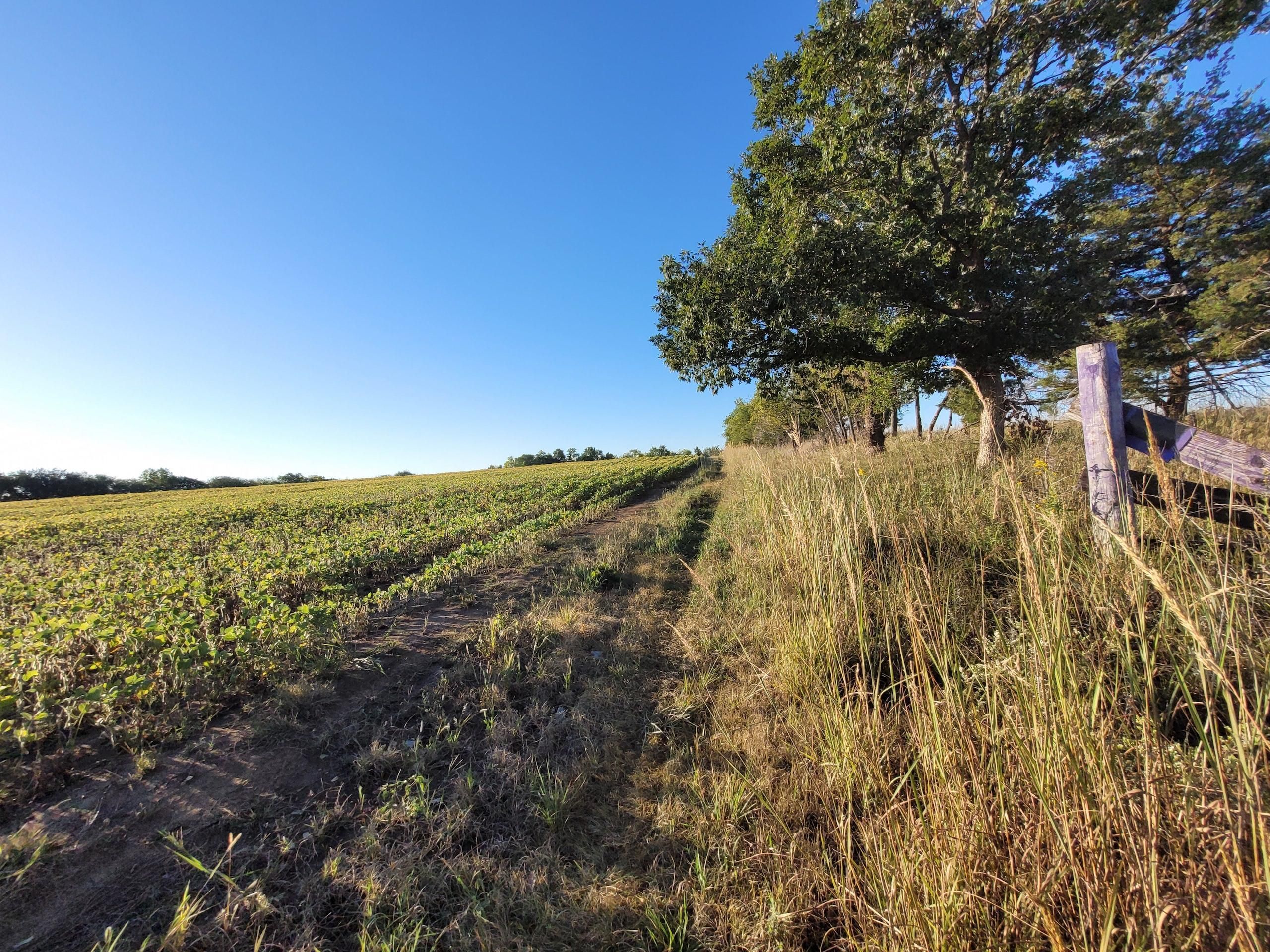 6601 Rose Hill Road, Randolph, KS 66554 | Land and Farm