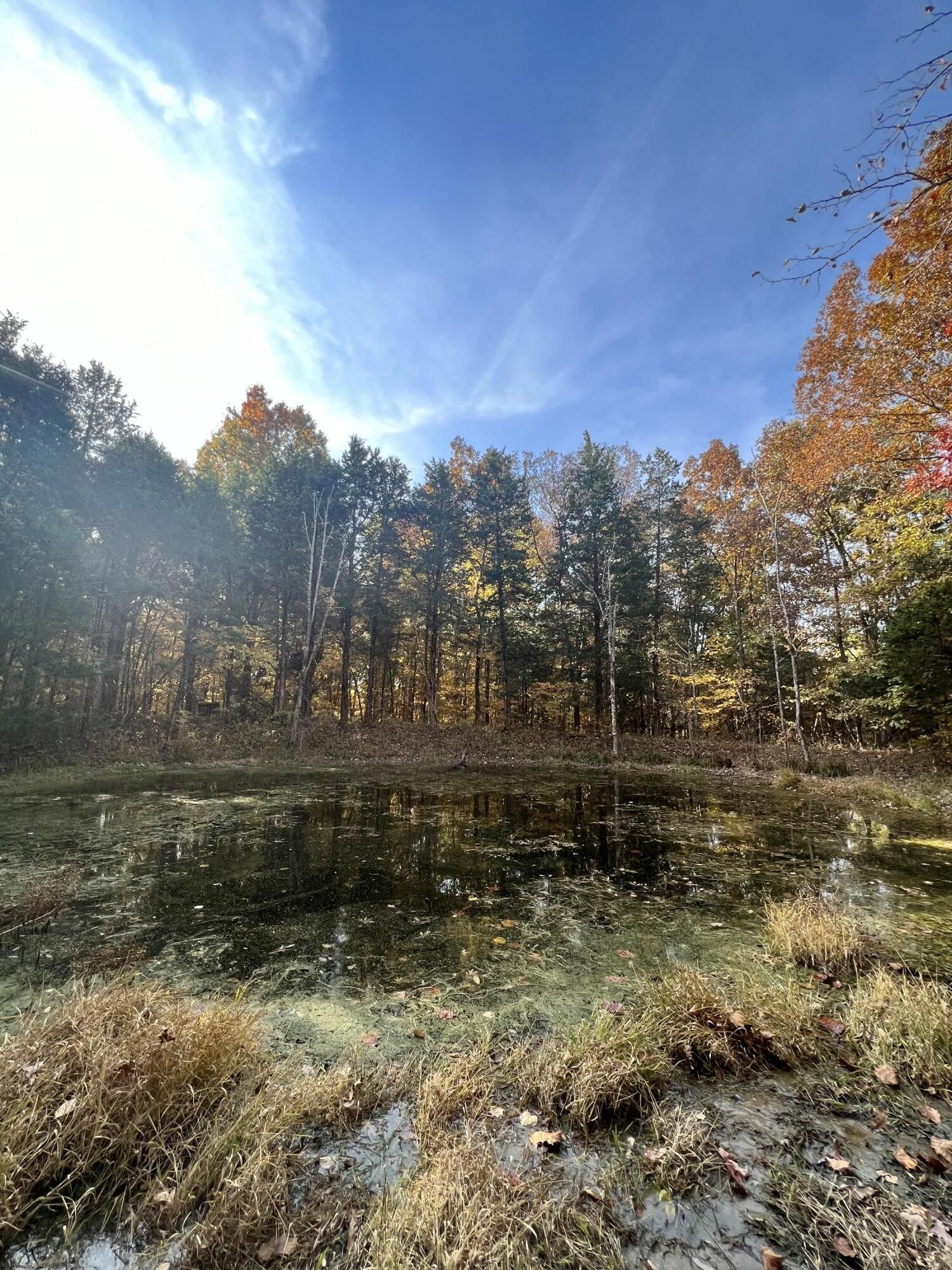 114 Acres, 1 Minors Branch Road, Stamping Ground, KY 40379 | Land and Farm