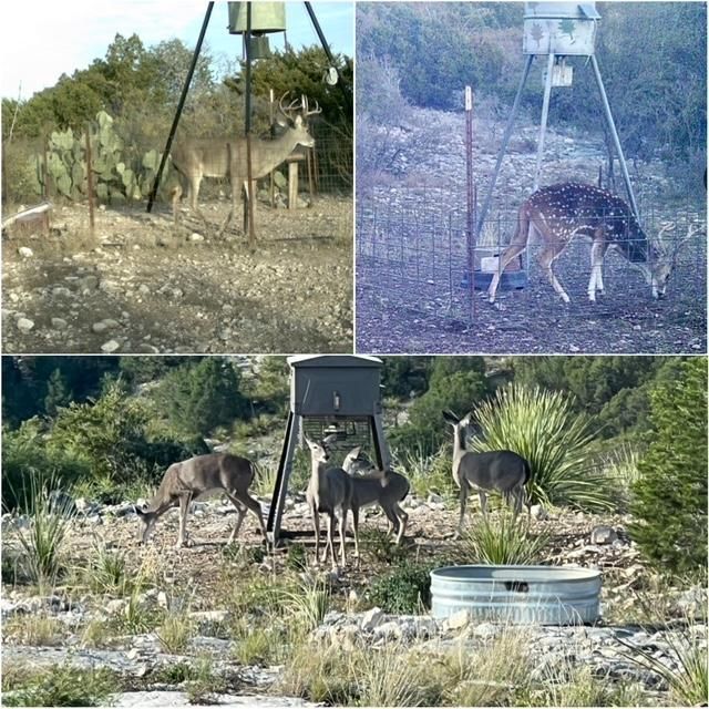 275 acres in Rocksprings, TX, 78880 | Land and Farm