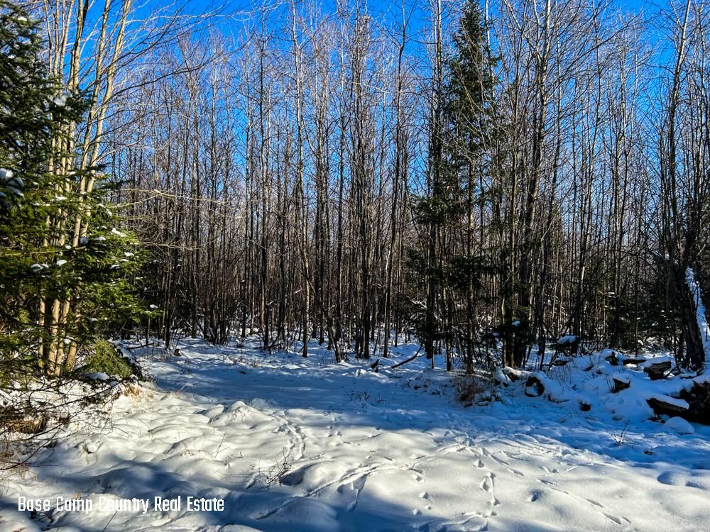 40 Acres, Getts Rd, Deerbrook, WI 54424 | Land and Farm