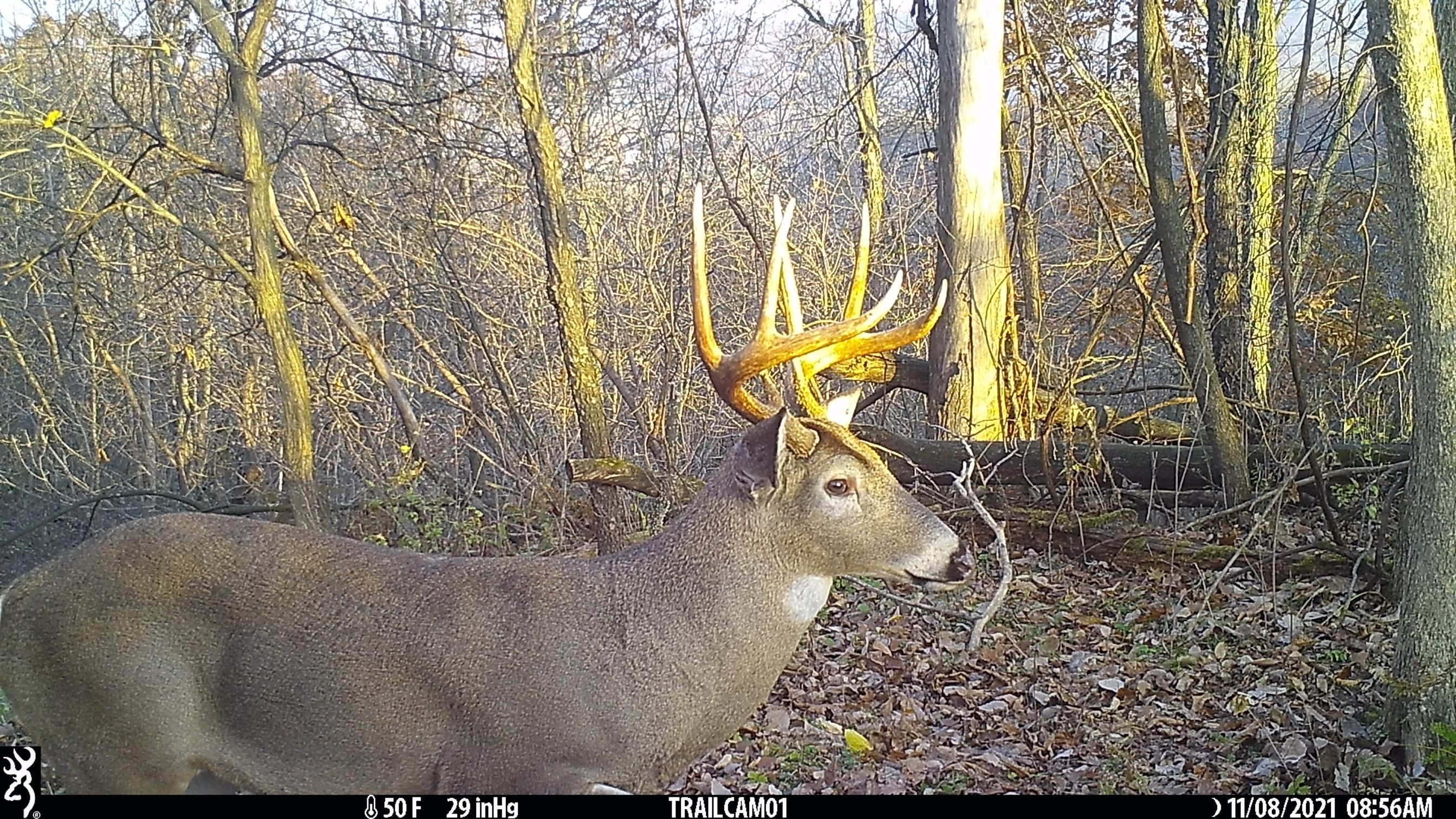 County Road D, Ettrick, WI 54627 | MLS: 1947323 | Land and Farm