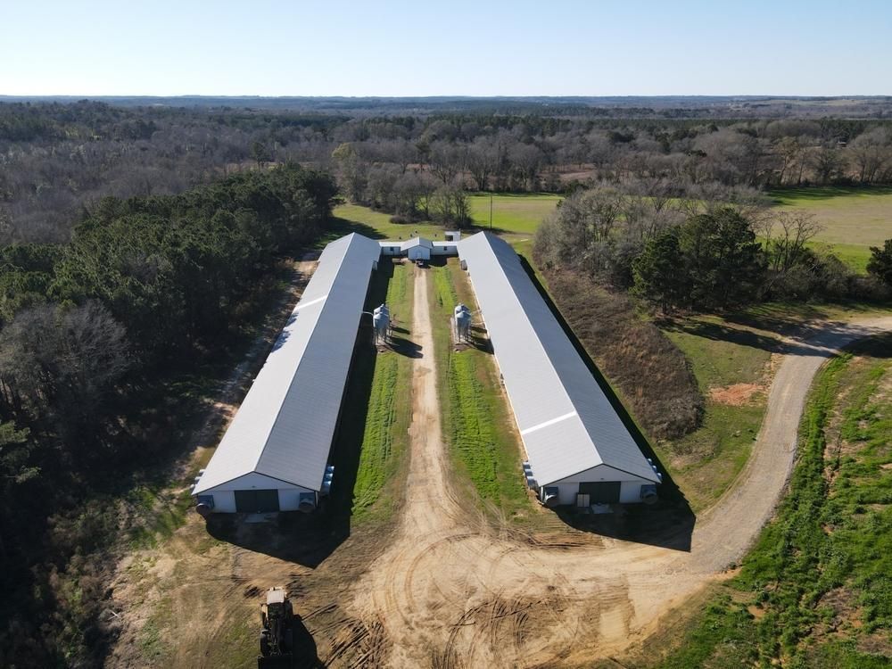 199 Chaney Branch Rd, Blue Springs, AL 36017 | Land and Farm