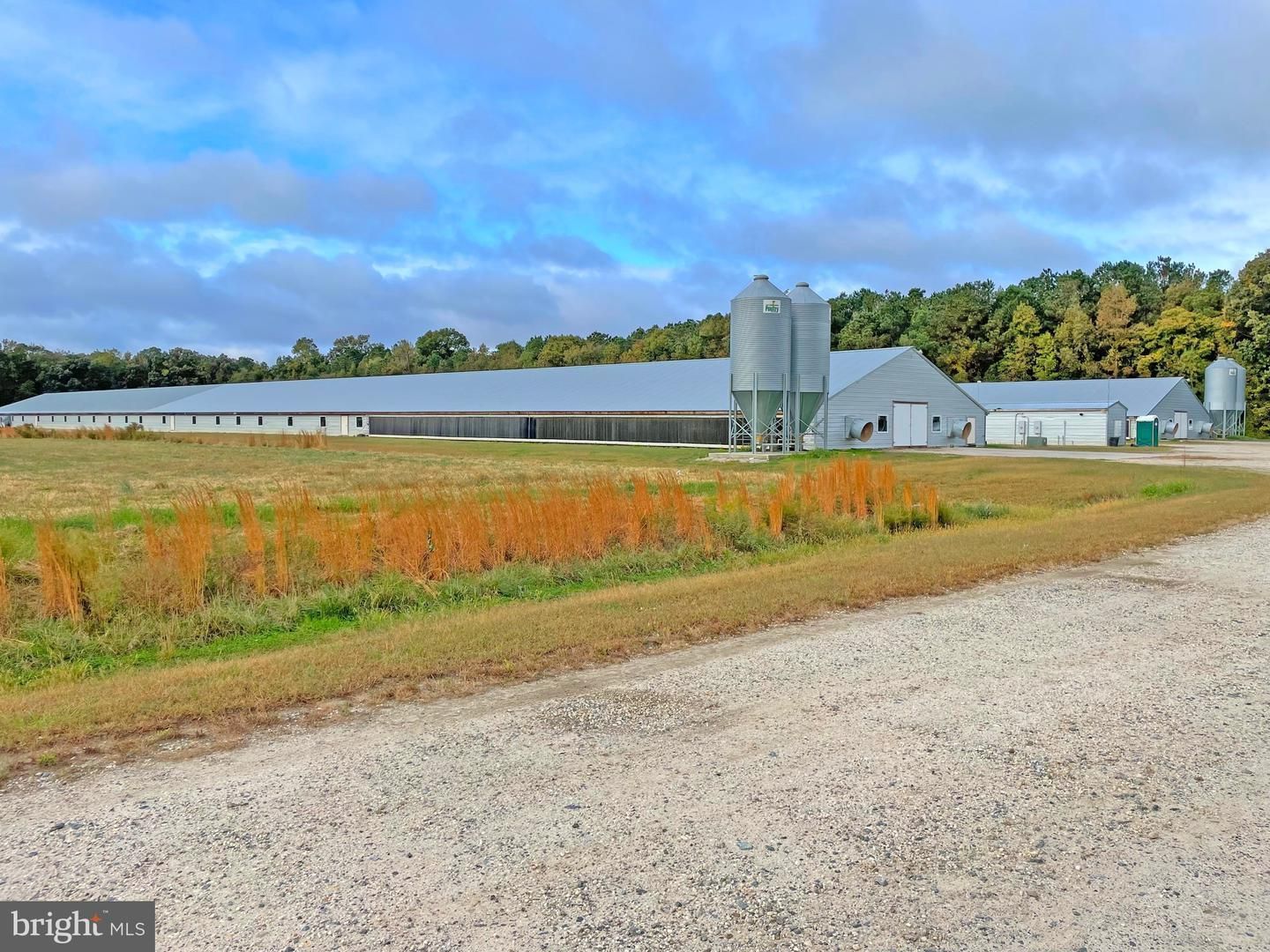 4400 Shelltown Road, Marion, MD 21838 | MLS: MDSO2002240 | Land and Farm