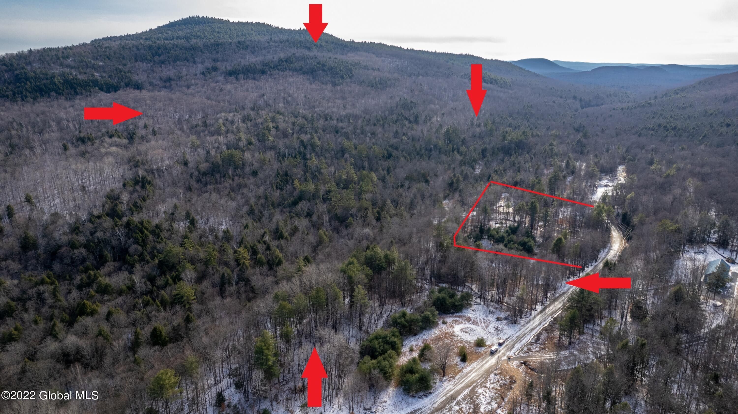 122.03 Acres, L20 Louis Waite Road, Stony Creek, NY 12878 | Land and Farm