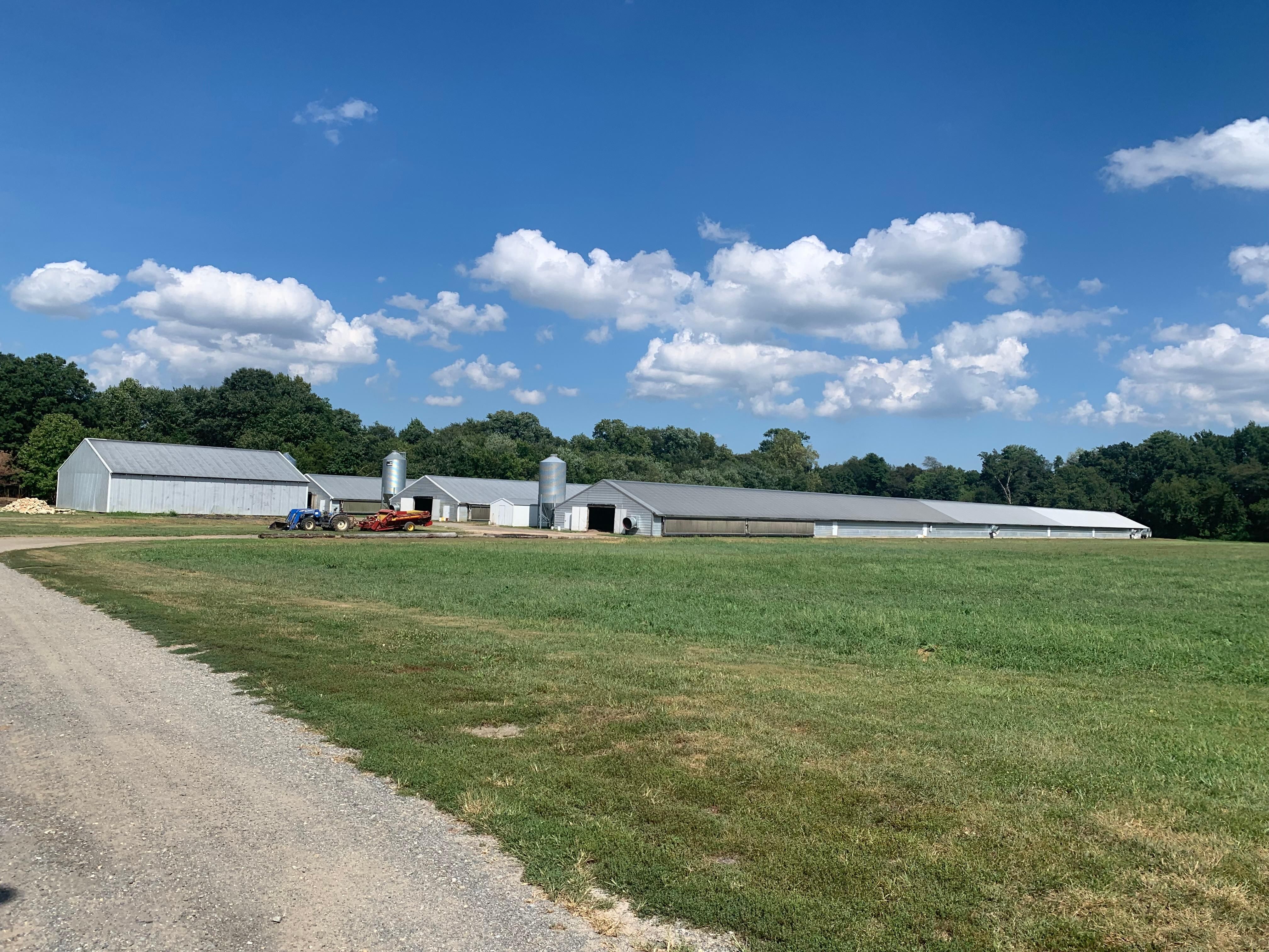 1381 Lockwood Chapel Road, Hartly, DE 19953 | MLS: DEKT2013978 | Land ...