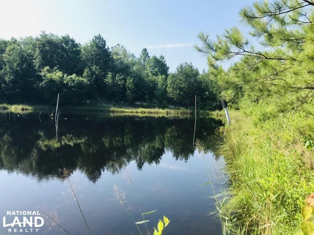 244 Desert Drive, Mauk, GA 31053 | Land and Farm