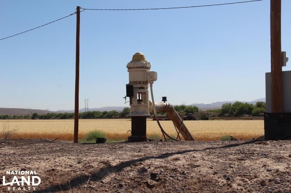 0 E Buena Vista Road, Solomon, AZ 85546 | Land and Farm