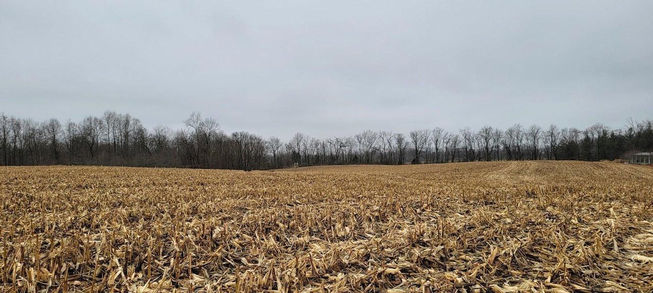 Fort Ritner Road, Bedford, IN 47421 | Land and Farm