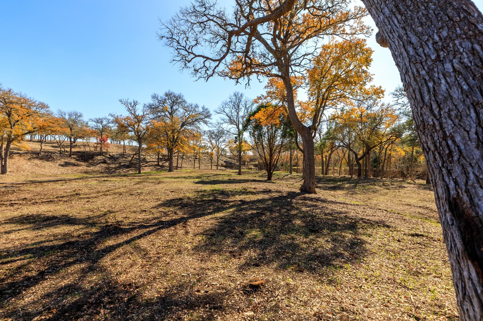 88.24 Acres, 3133 Chimney Valley Road, Blanco, TX 78606 | Land and Farm