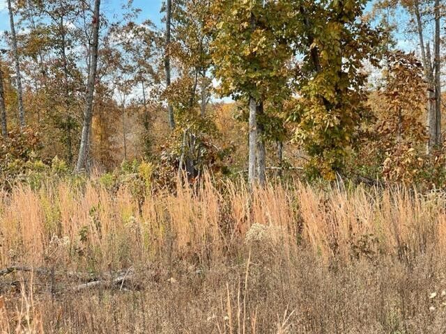 40 Acres, 000 County Road 230, Couch, MO 65690 | Land and Farm