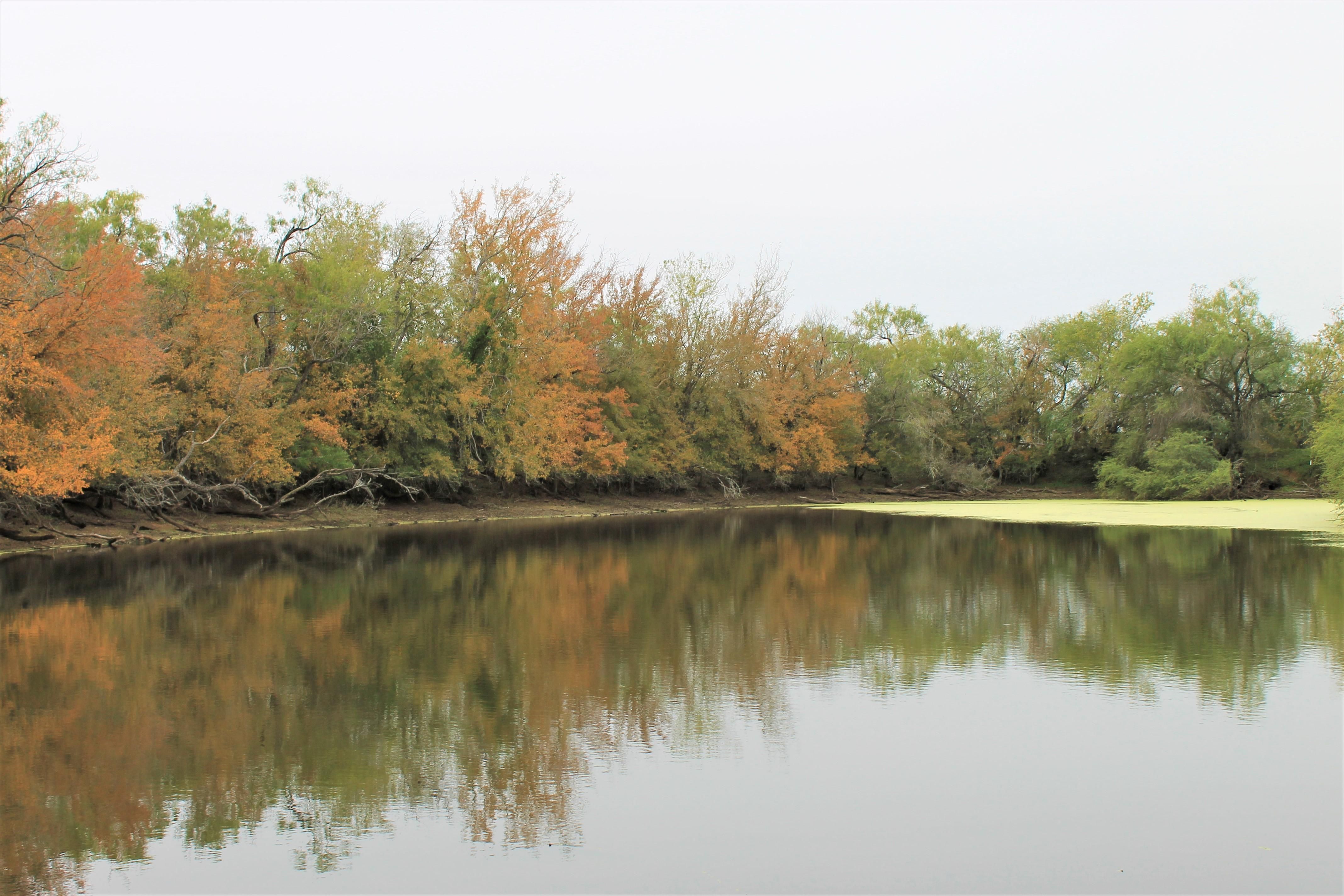 19.59 acres in Mccoy, TX, 78113 | MLS: 1657176 | Land and Farm