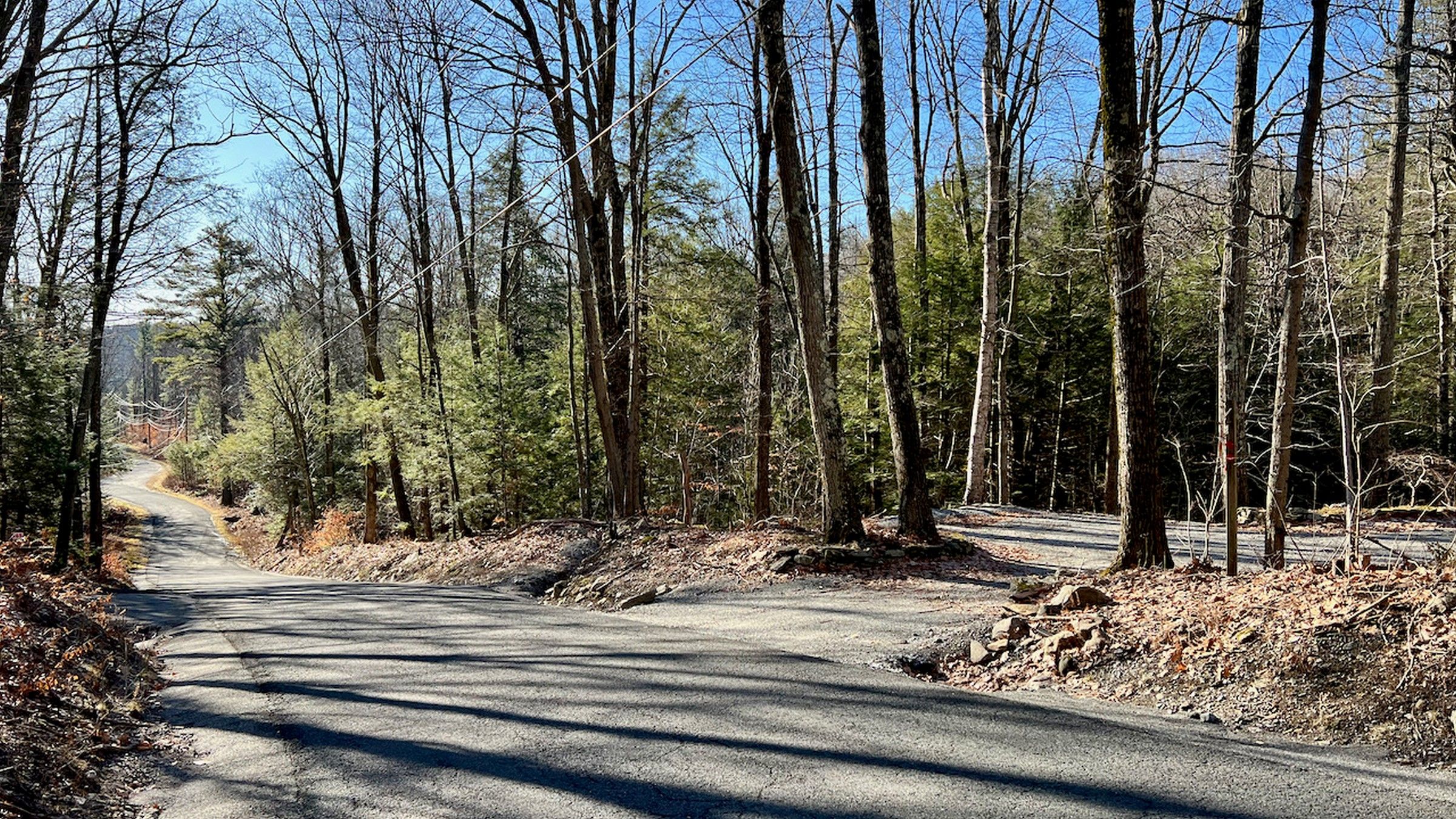 1.49 Acres, 562 Norton Rd, Otis, MA 01253 | Land and Farm