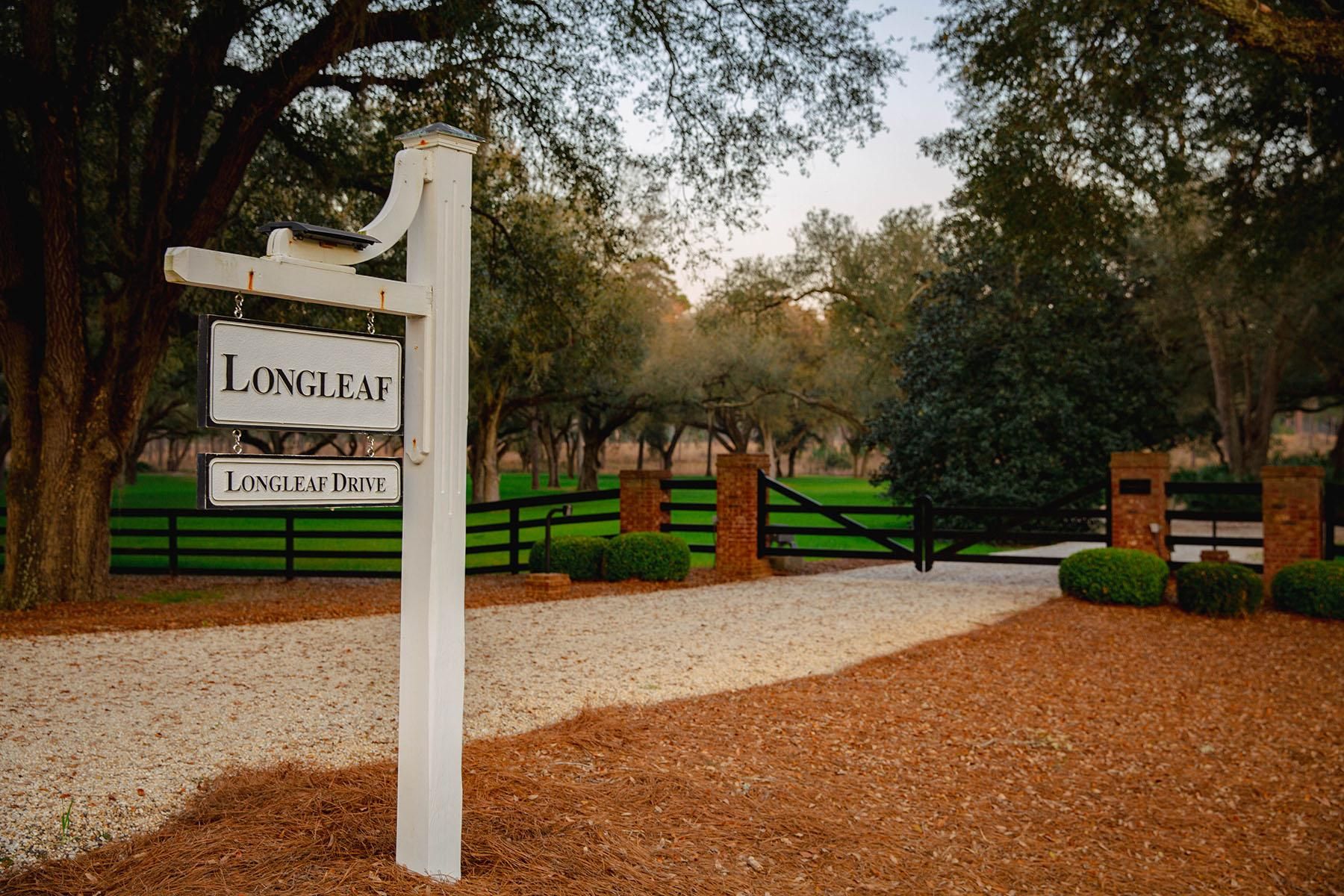 3080 Longleaf Dr, Newton, GA 39870 | Land and Farm