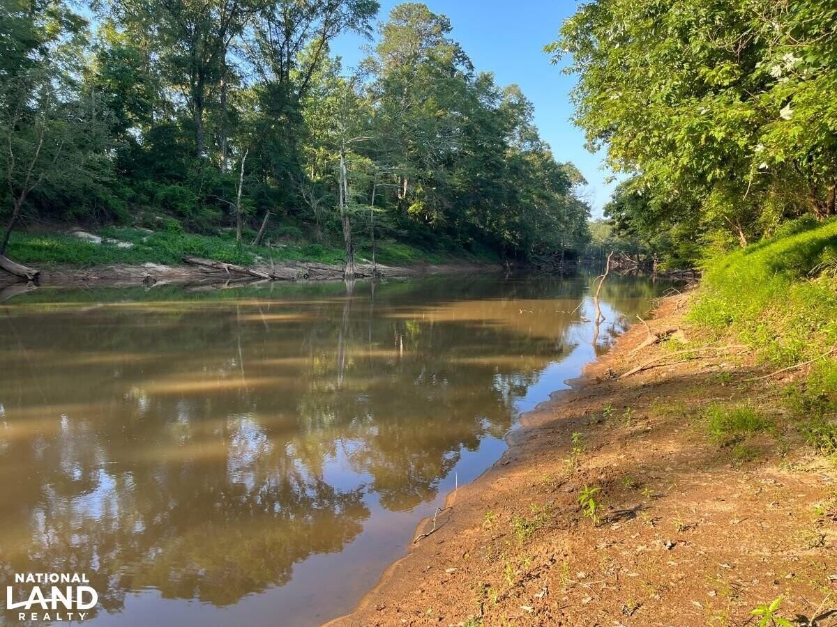 3100 Highway 16 East, Carthage, MS 39051 | Land and Farm