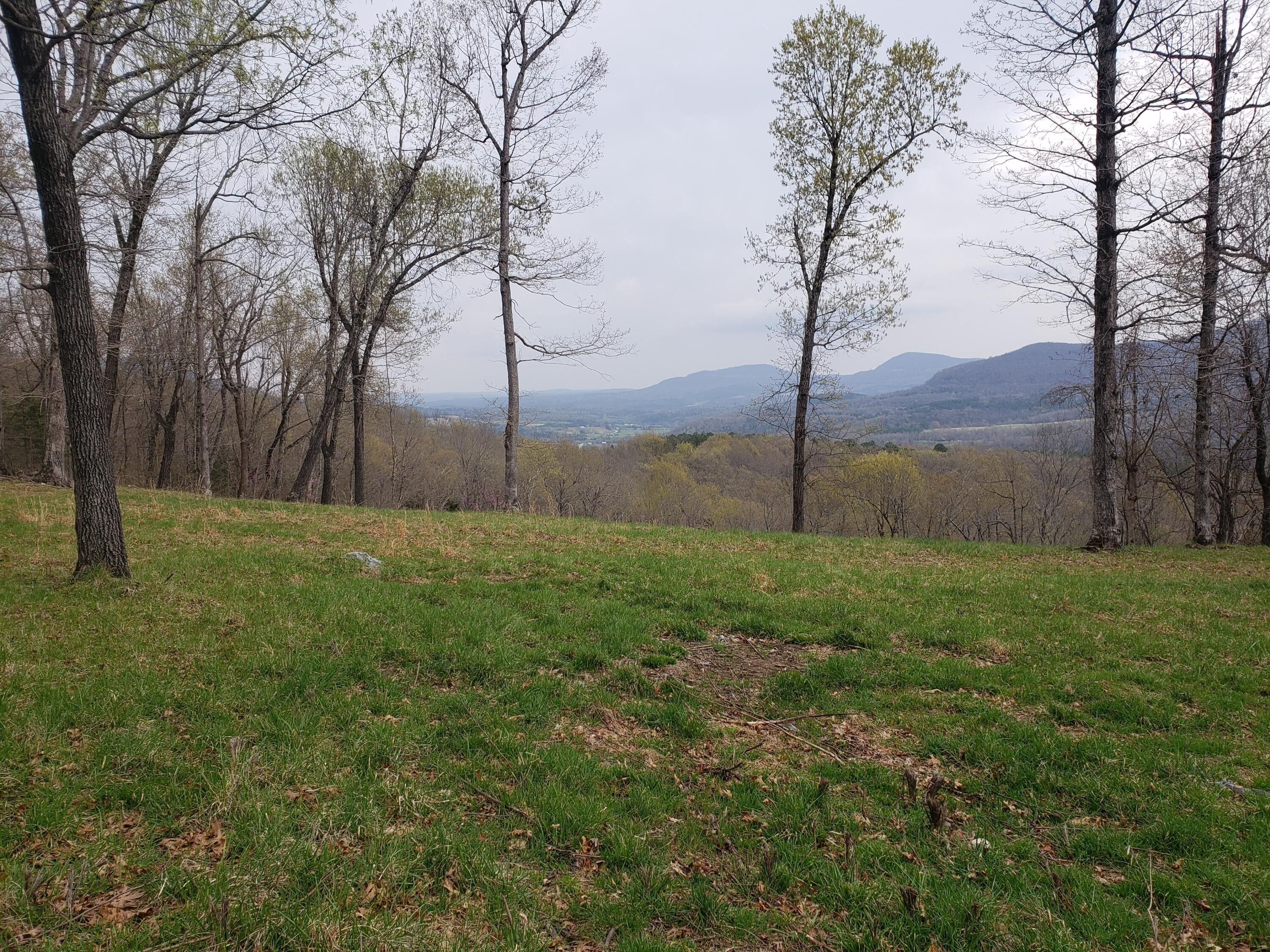 40 Acres, 0000 NC 6440, Vendor, AR 72683 | Land and Farm