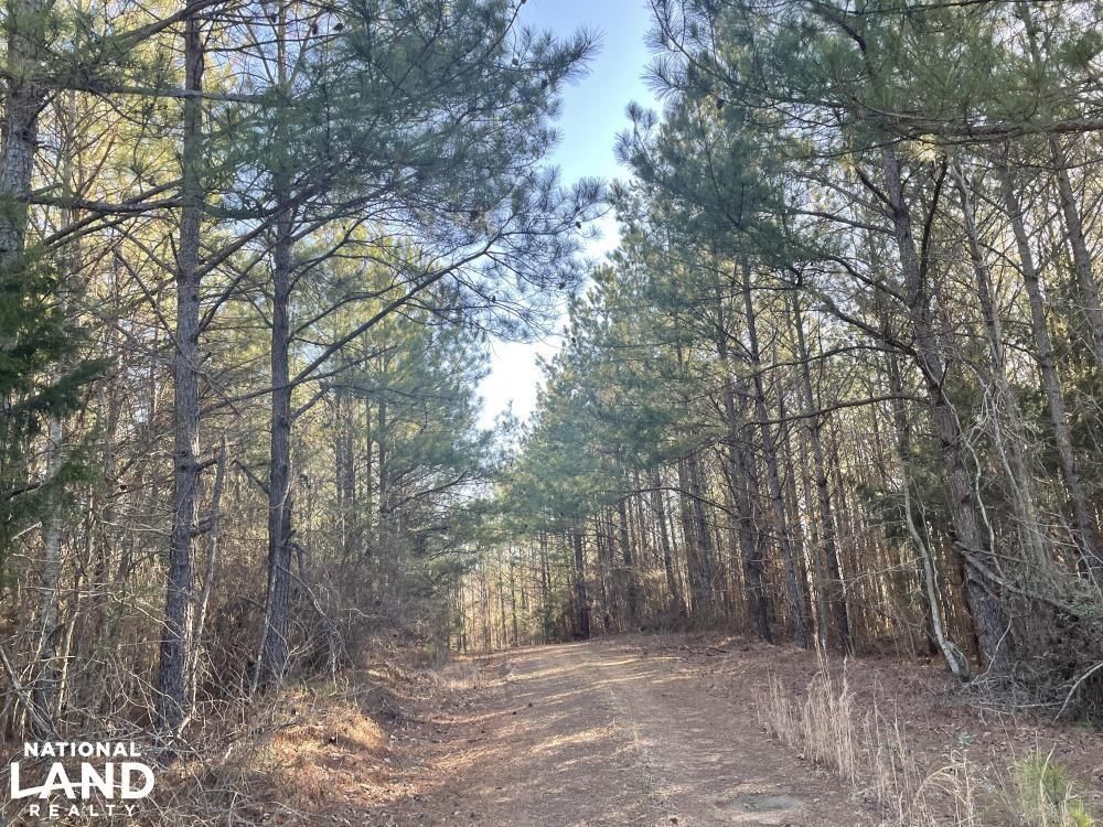 0 Mcgahey Yearby Road East Tract, Coal Fire, AL 35481 | Land and Farm