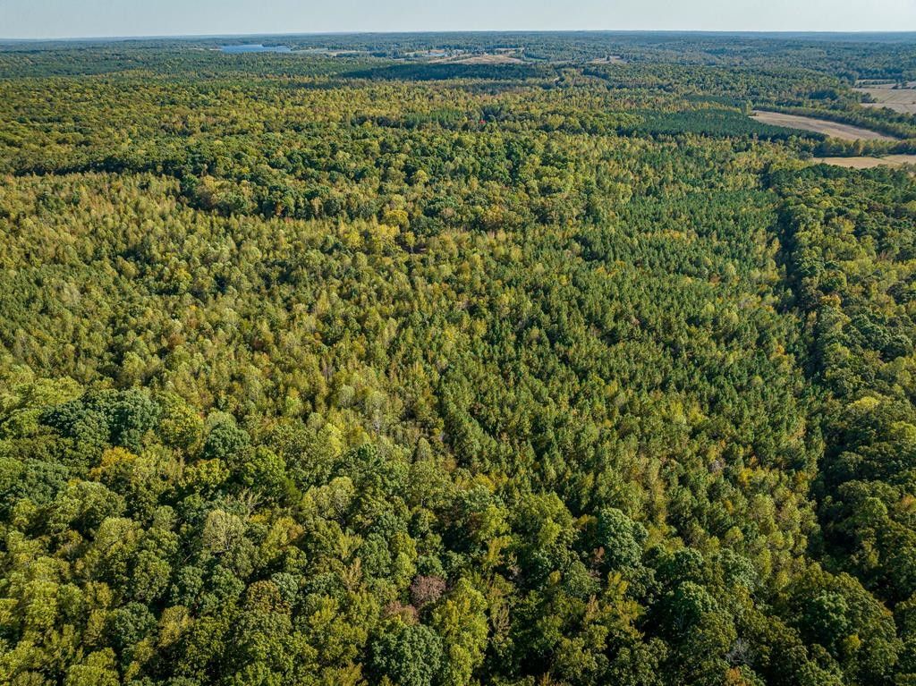 95 Acres, Old Stage Rd, Huntingdon, TN 38344 | Land and Farm