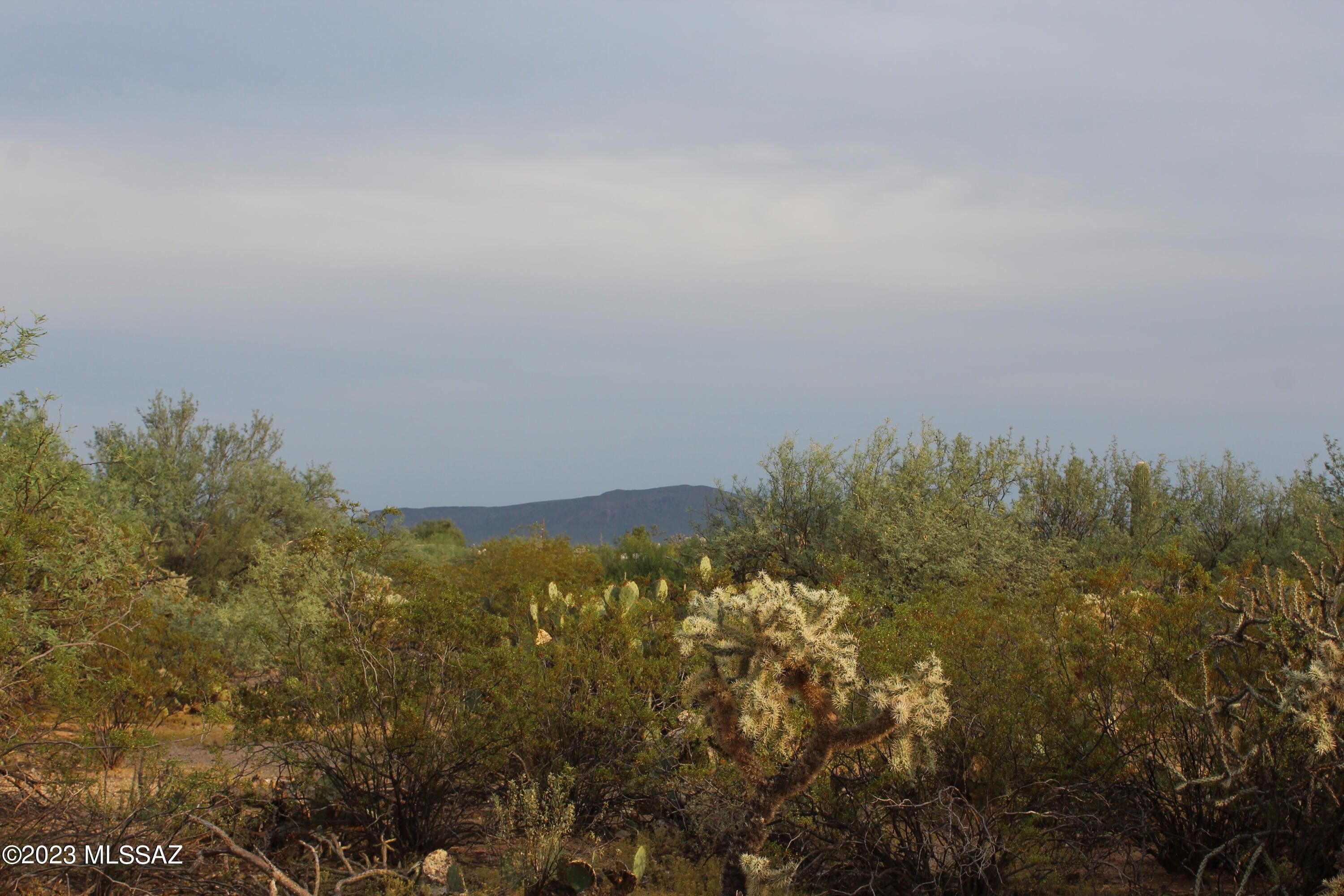 1.24 Acres, 6855 W Kay Lynn Drive, Tucson, AZ 85735 | Land and Farm