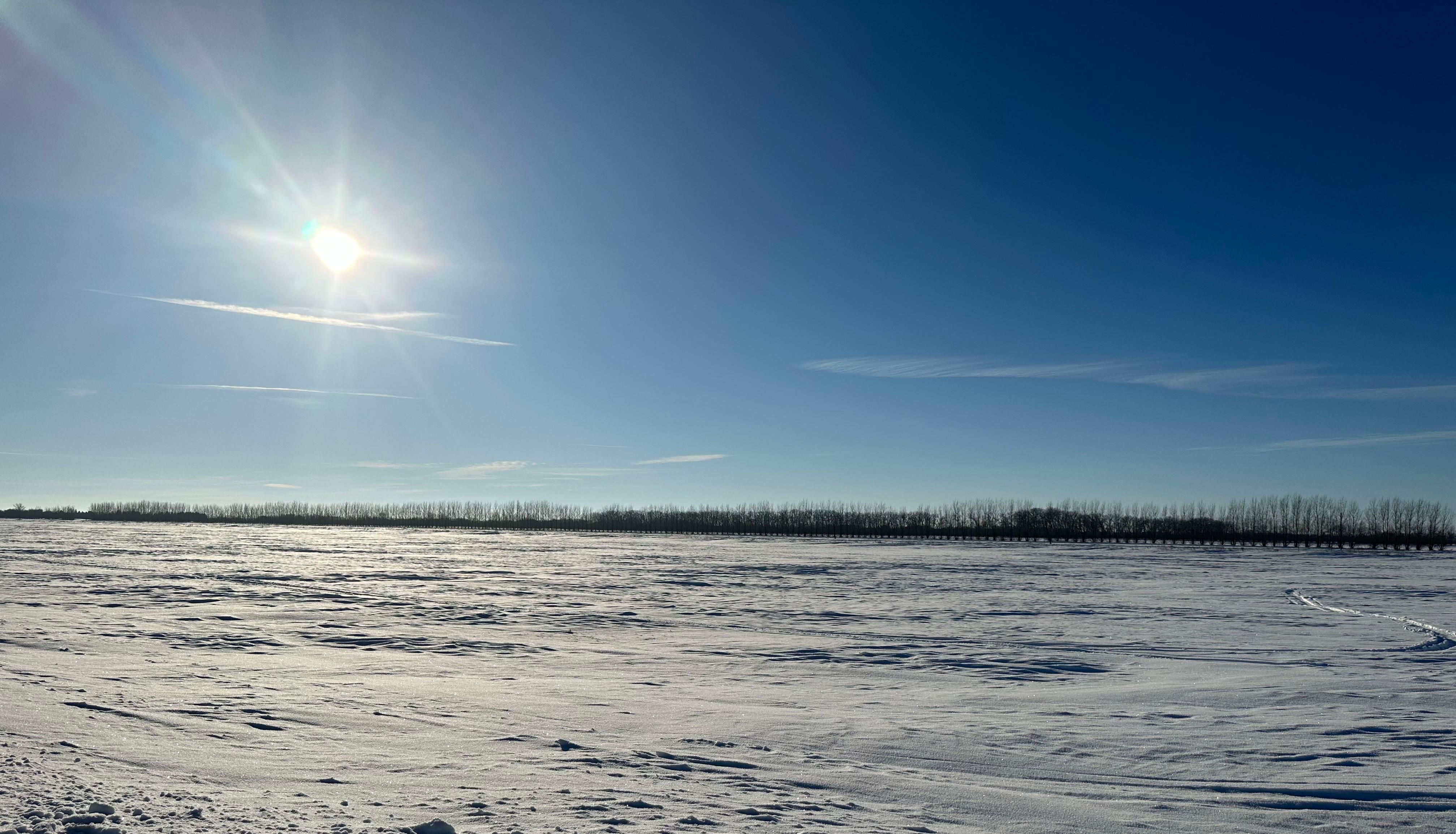 194 acres in Crystal, ND, 58222 | Land and Farm