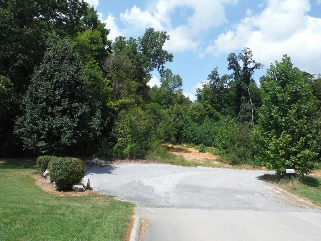 84.26 Acres, 0 Cimarron Trail, Afton, TN 37616 | Land and Farm