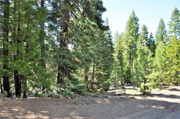 0.95 acres in California Pines, CA, 96101 | Land and Farm