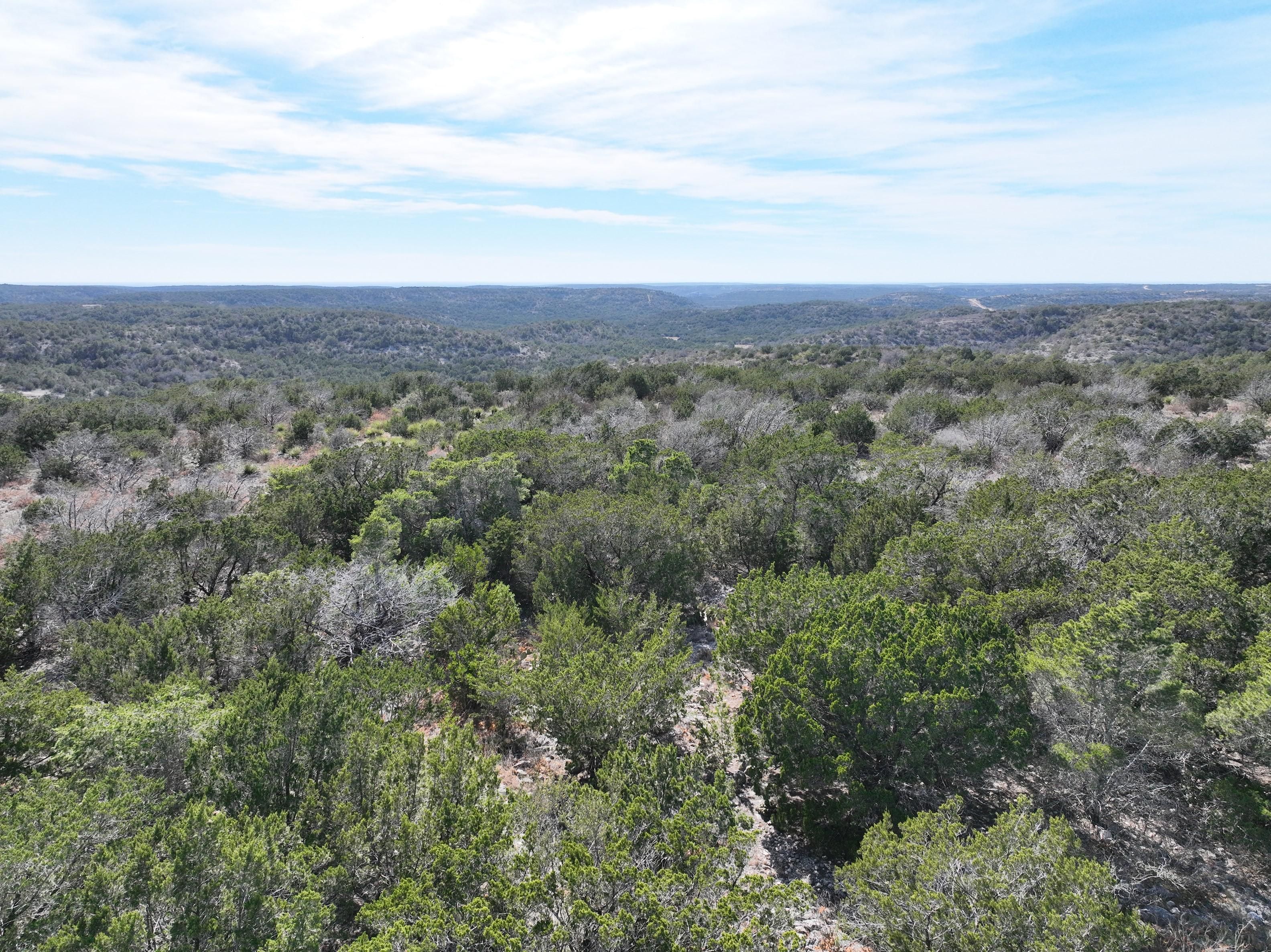 123.18 acres in Rocksprings, TX, 78880 | Land and Farm