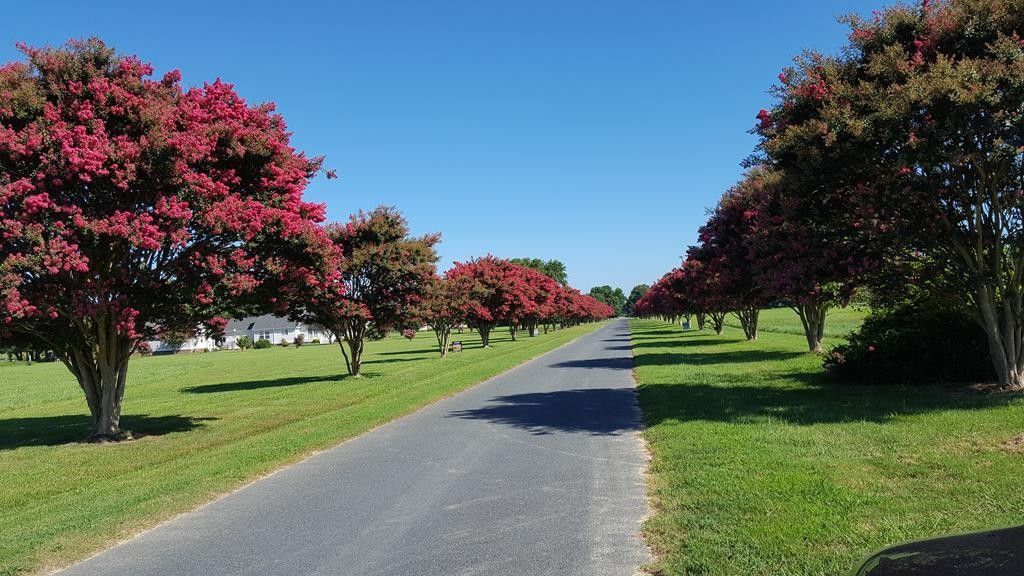 2.2 Acres, Lot 2 CLEARVIEW RD, Exmore, VA 23350 | Land and Farm