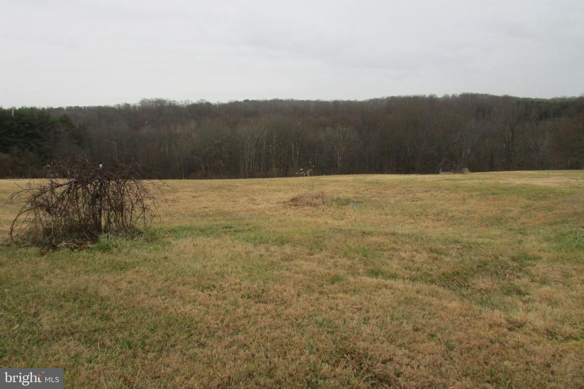 8.19 Acres, Lot 2A FLAG MARSH ROAD, Mount Airy, MD 21771 | Land and Farm