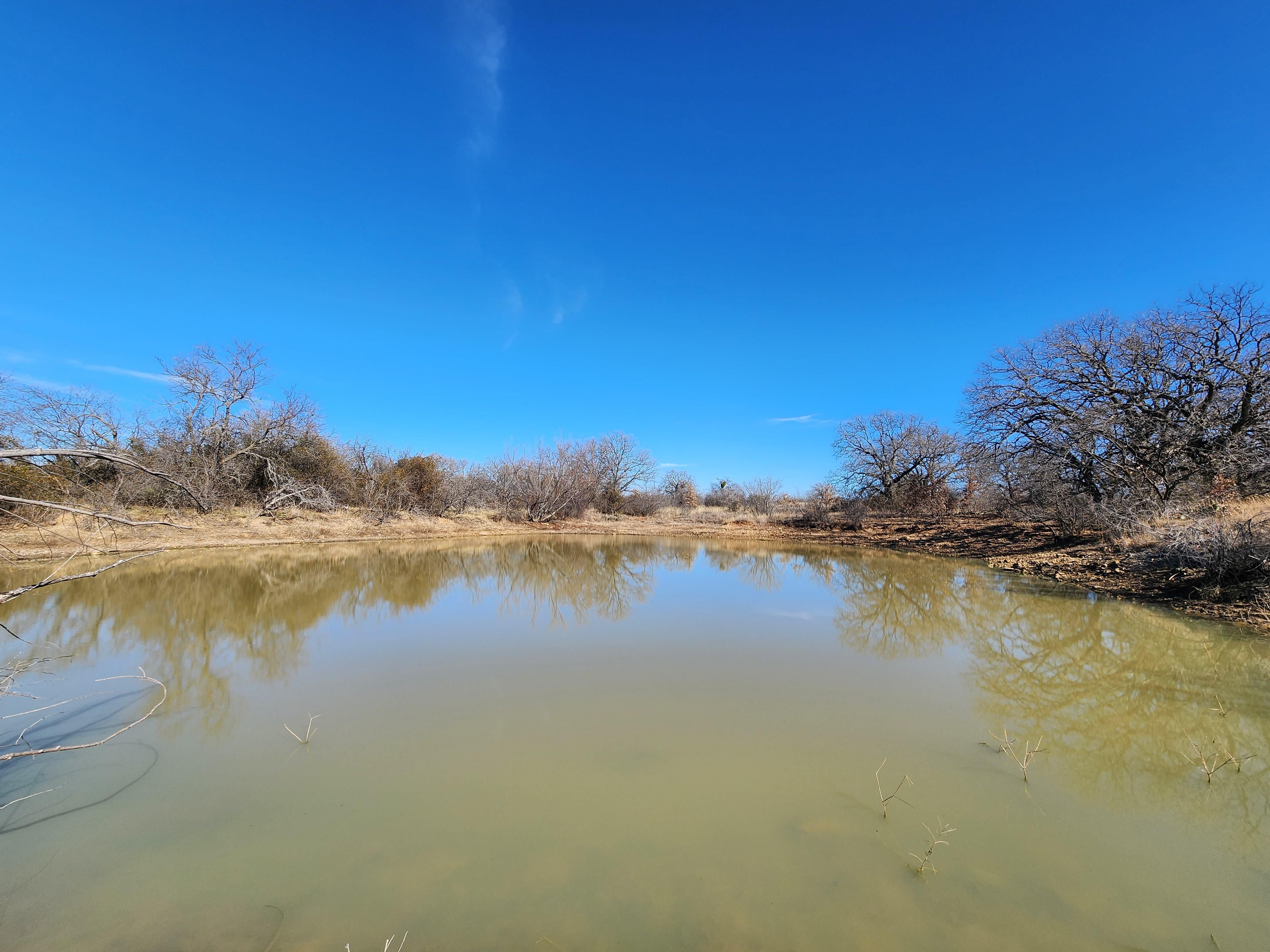 501 County Road 131, Rising Star, TX 76471 | Land and Farm