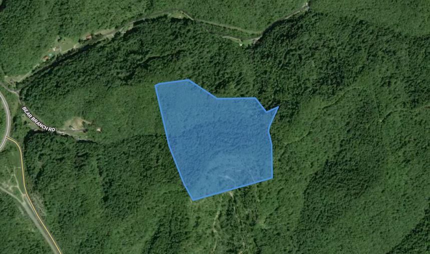 75 acres in Crum, WV, 25669 | Land and Farm